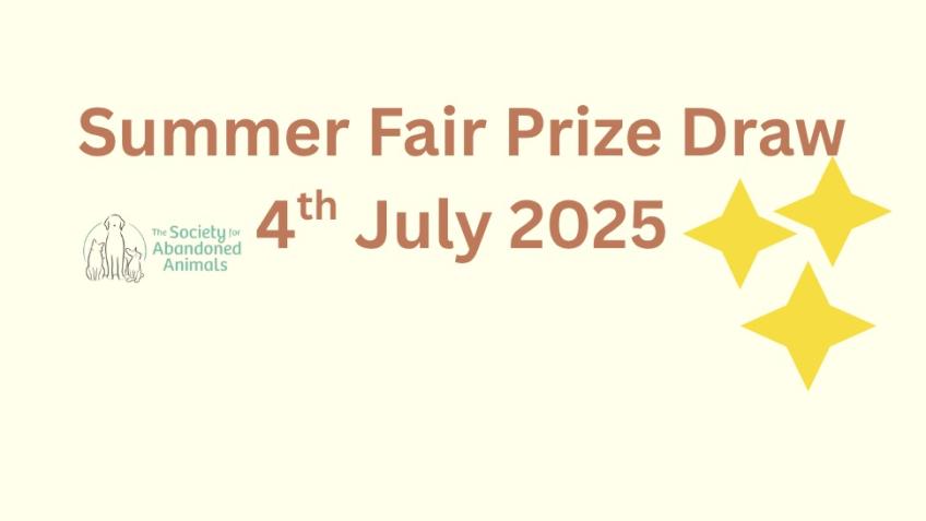 SAA Summer Fair Prize Draw - a Charities crowdfunding project in ...