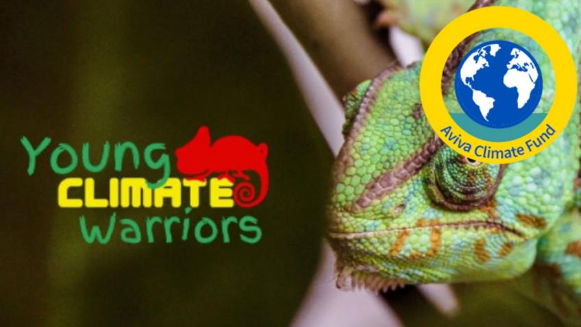 Young climate warriors: engaging kids on climate - a Environment ...