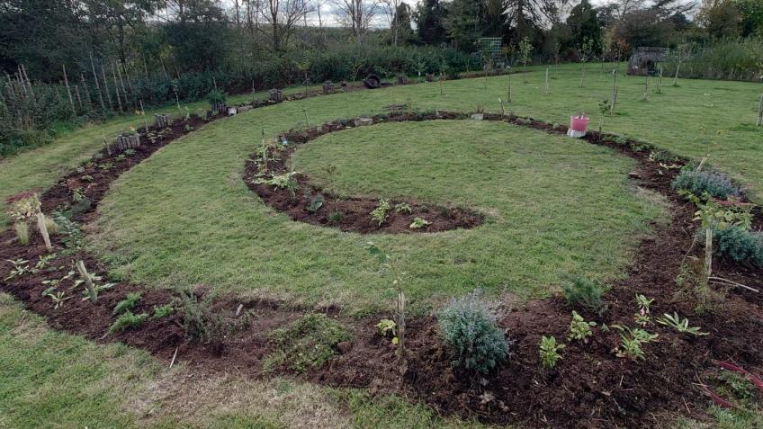 Bristol Tackling root issues - people and nature - a Community ...