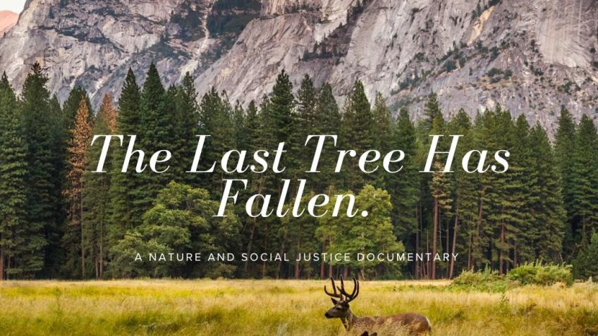The Last Tree Has Fallen - a Environment crowdfunding project in Costa ...