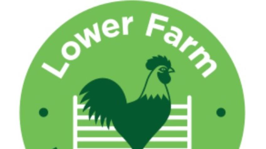 The Lower Farm Primary School Fundraiser - a Community crowdfunding ...
