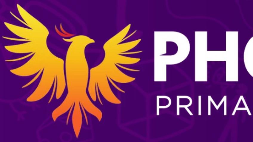 The Phoenix Primary School Fundraiser - a Community crowdfunding ...