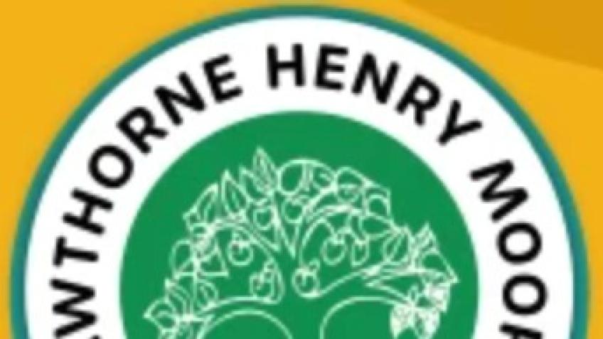 The Smawthorne Henry Moore Primary School - a Community crowdfunding ...
