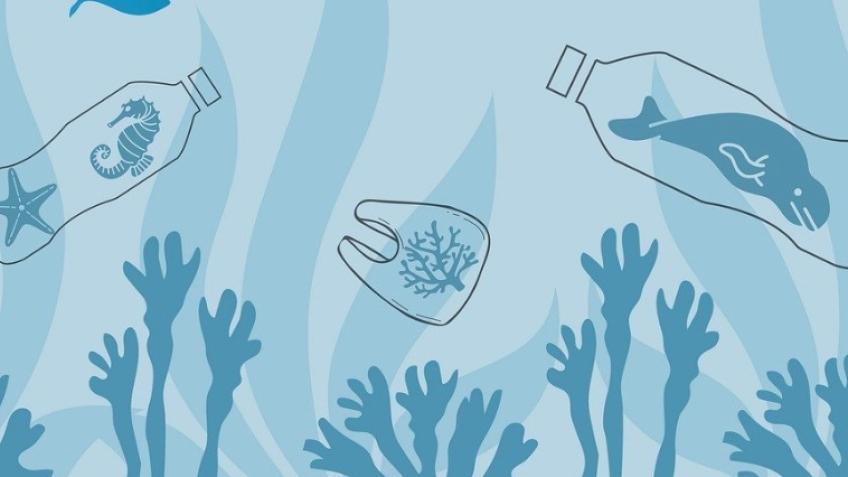 The trash eating trash bag - a Personal Causes crowdfunding project in ...