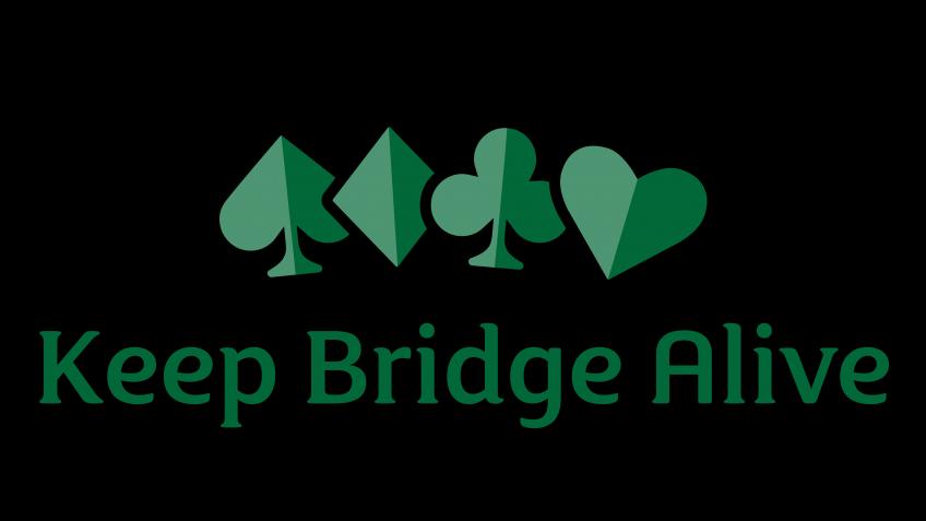 Keep Bridge Alive Campaign - a Community crowdfunding project in Bridge ...