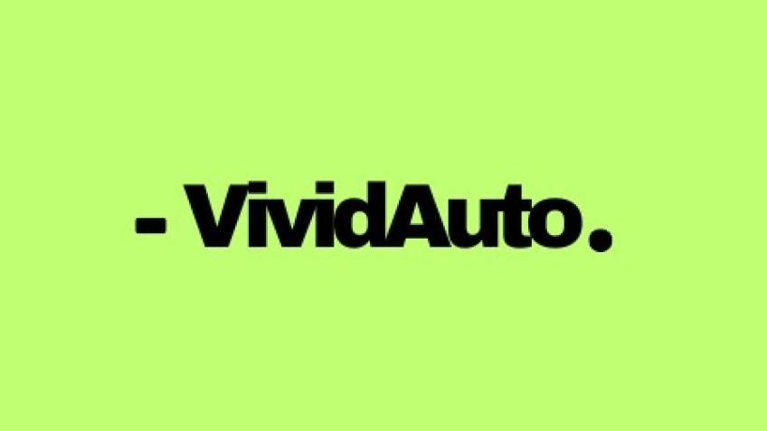 Help Vivid Auto Change the Way Cars Are Sold - a Business crowdfunding ...