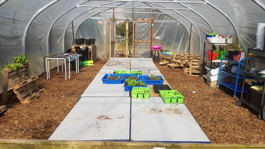 Watering system for the polytunnel - a Environment crowdfunding project ...