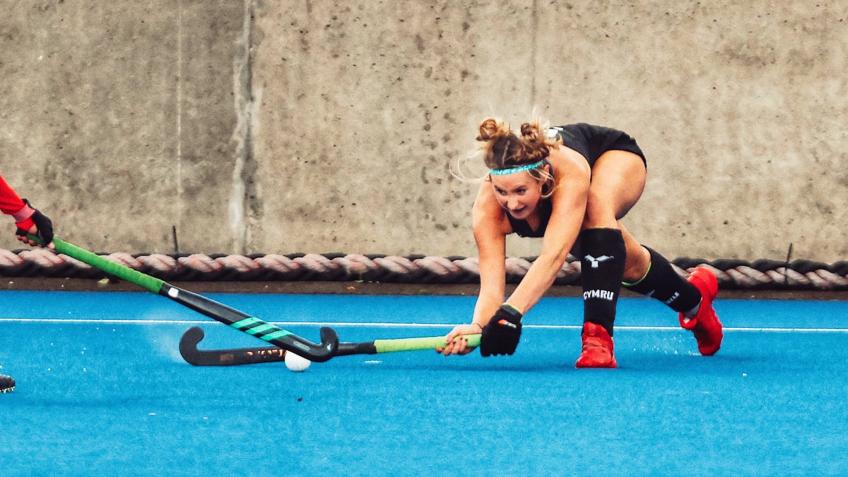 Welshie in the World Cup - a crowdfunding project in Chile by Elenya Beard