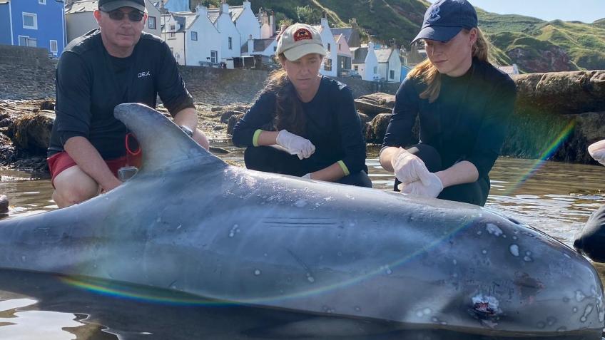 Help fund a new rescue boat for CRRU - a Environment crowdfunding ...