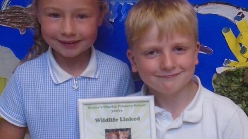 Community Wildlife Link - a Community crowdfunding project in Newcastle ...
