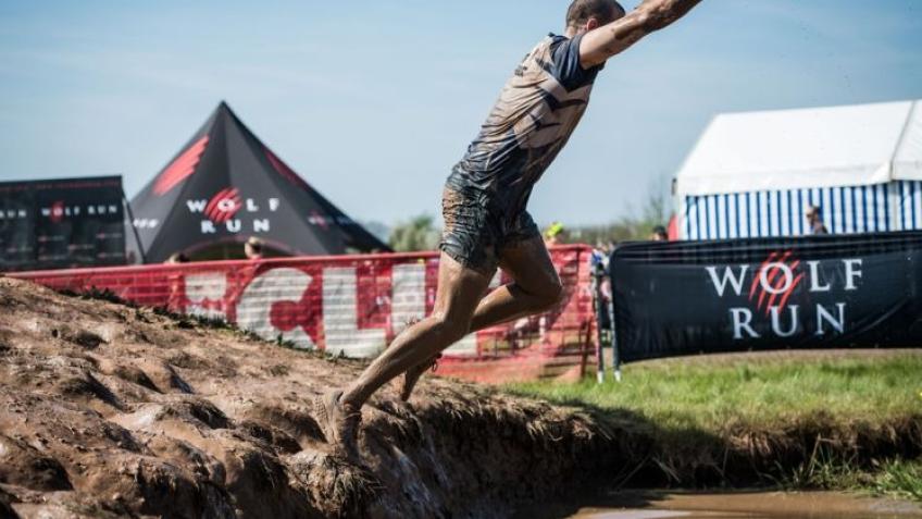 Wolf Run - a Charities crowdfunding project in Birmingham by Aaron ...
