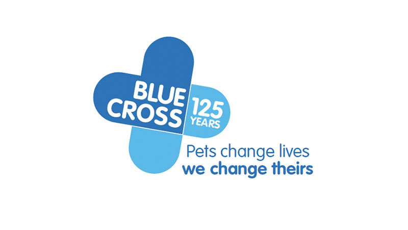 Charity Fundraising | Crowdfunder.co.uk