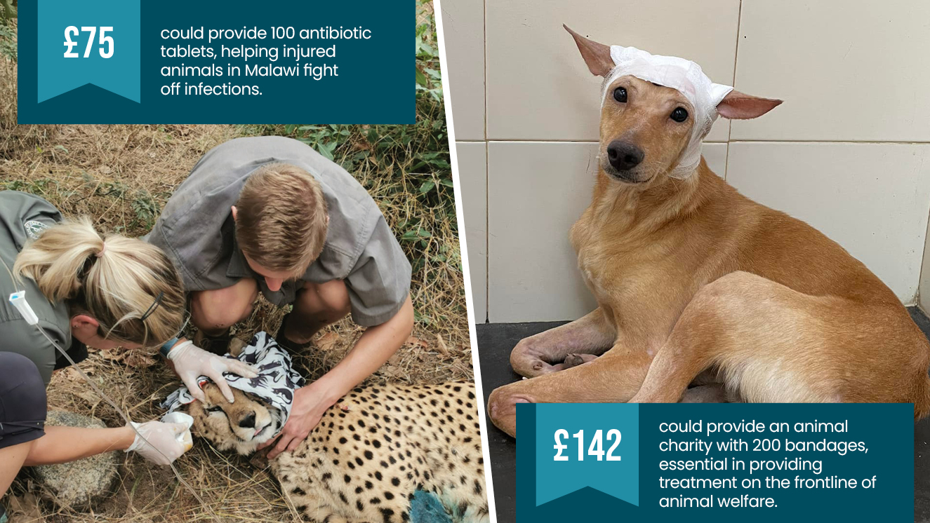 Send a life-saving parcel to an animal in need - a Environment ...