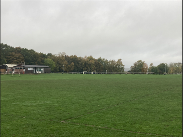 Cavendish Fields 3G Pitch Upgrade Challenge - a Community crowdfunding ...