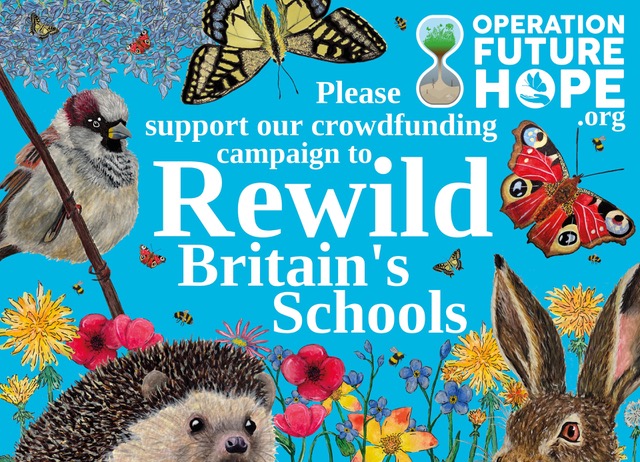 Rewild Britain's Schools - a Environment crowdfunding project in United Kingdom by Operation ...