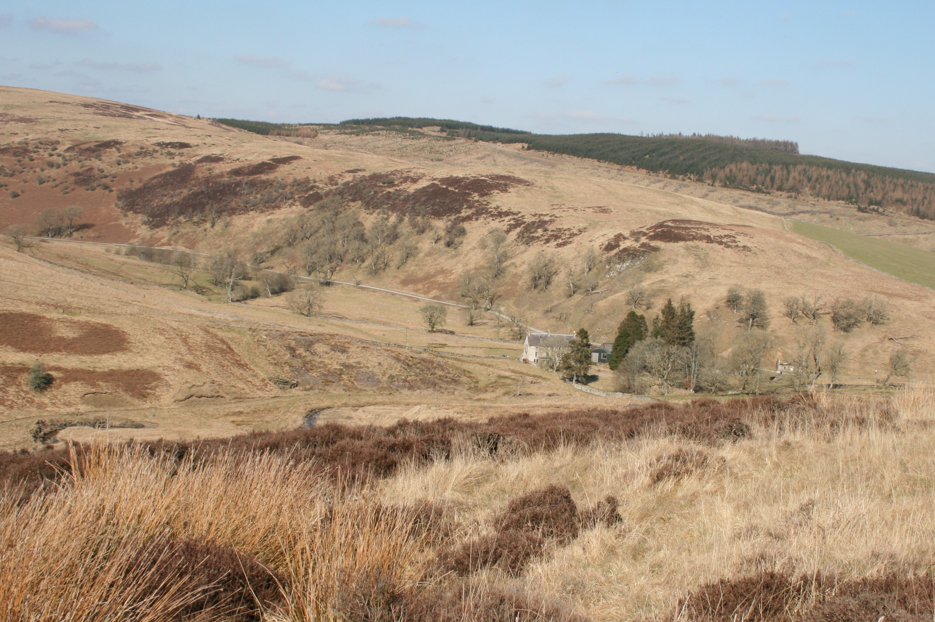 Save Todrig from Sitka spruce plantation - a Environment crowdfunding ...