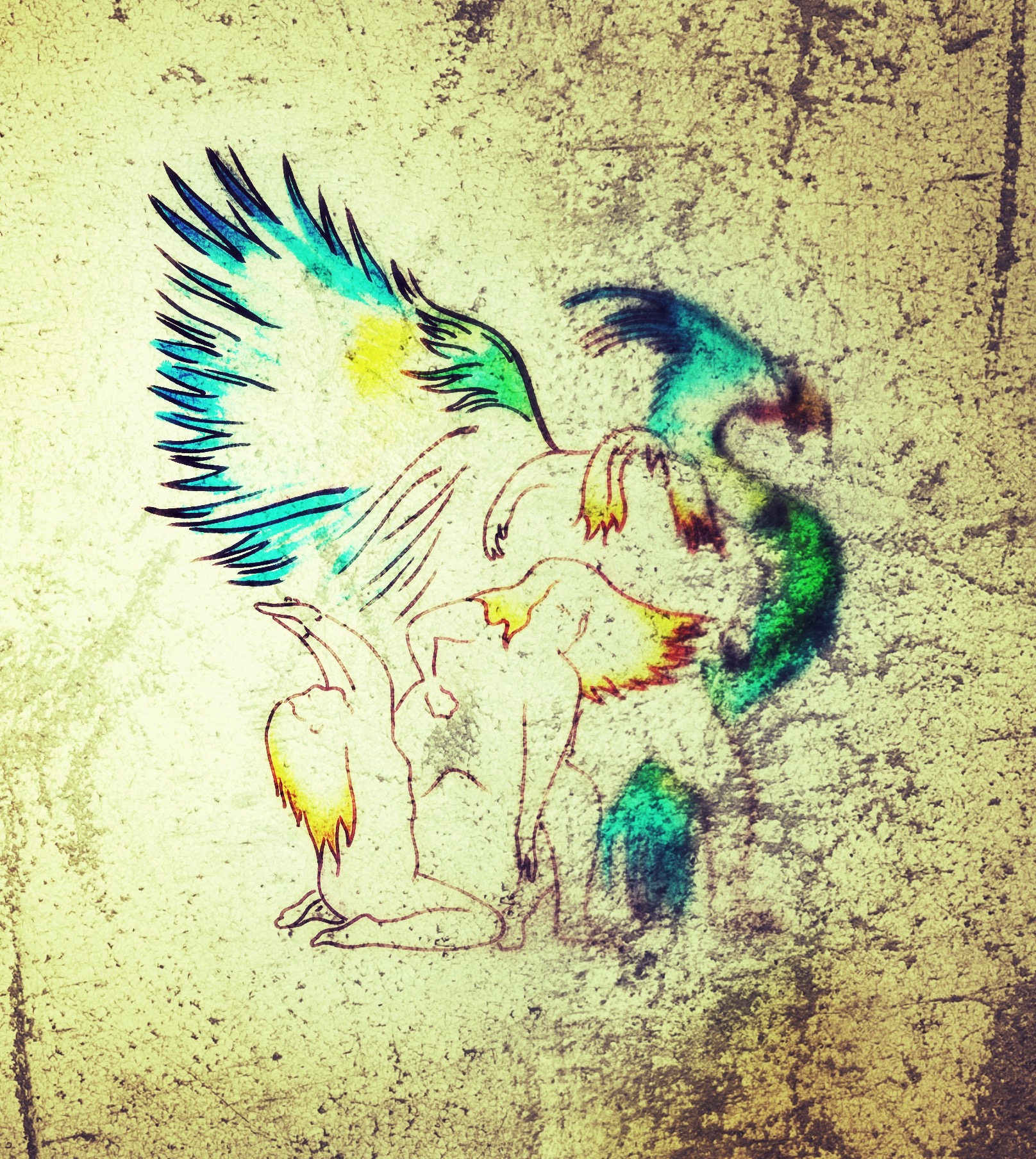 Phoenix goes on tour! - a Creative & Arts crowdfunding project in ...