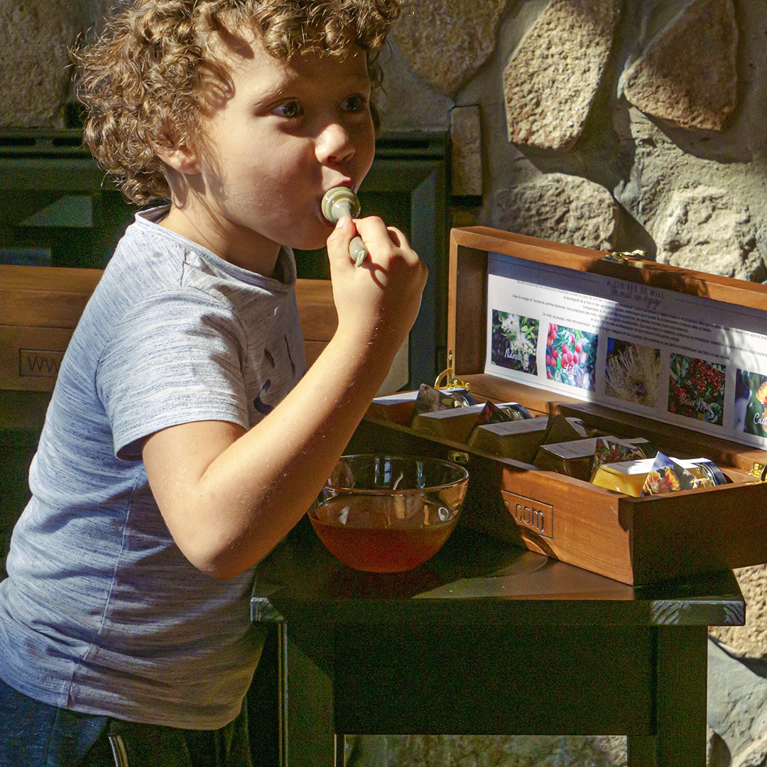 Plant ONE MILLION trees to celebrate World Bee Day - a Business ...