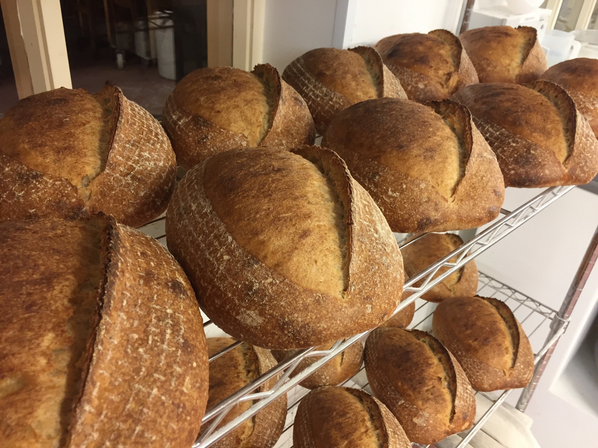 Bakerman - Organic Community Bakery - a Food and Drink crowdfunding ...