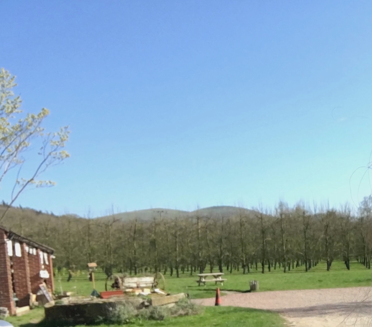 Crumpton's Tea Room - a crowdfunding project in Malvern by Crumpton ...