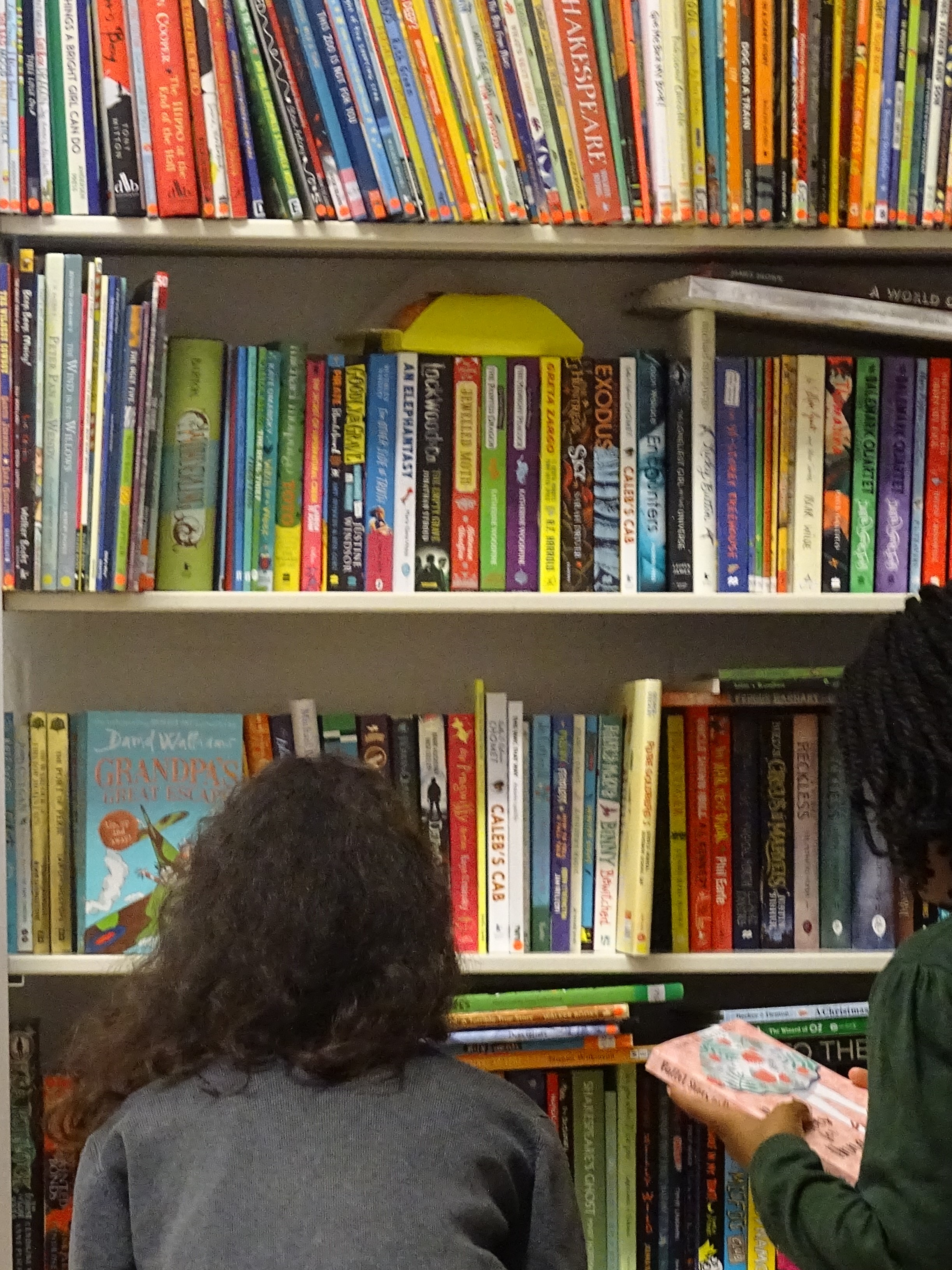 Building The Literacy Library - a Charities crowdfunding project in ...