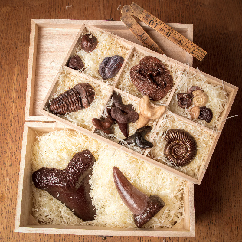 The Edible Museum Chocolate Studio - a Creative & Arts crowdfunding ...