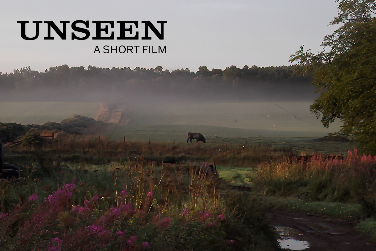 Unseen - a Creative & Arts crowdfunding project in Edinburgh by Sarah ...