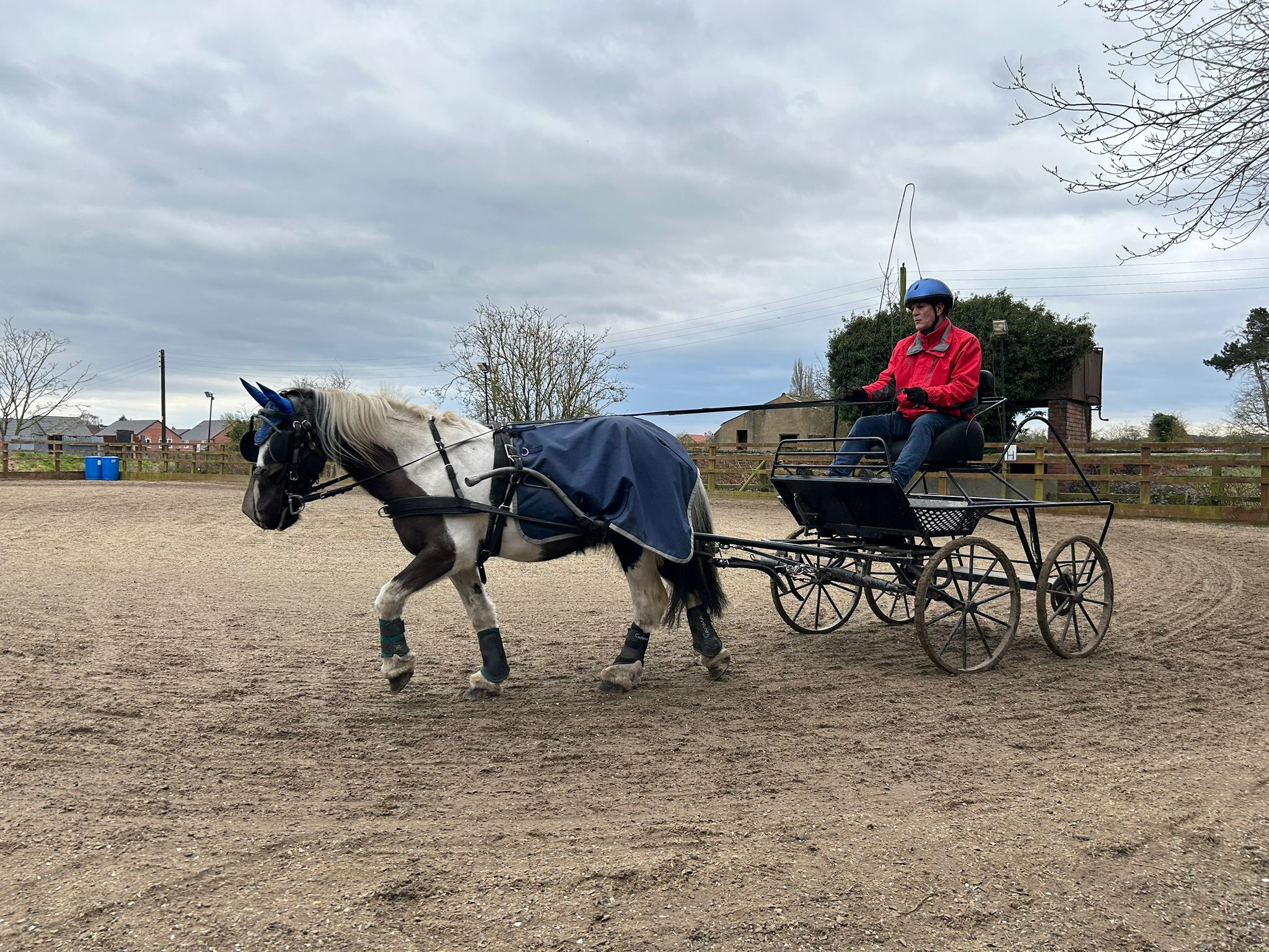 Carriage Driving for our Community - a Community crowdfunding project ...