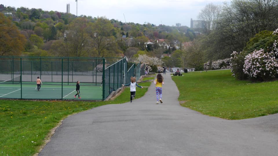 Make Bingham Park Brilliant for Everyone!!! - a Community crowdfunding ...