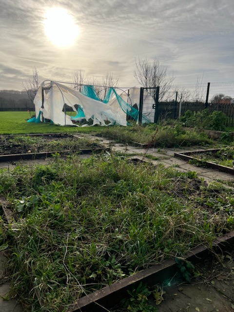 Help us Grow, at Nansloe! - a Community crowdfunding project in Helston ...
