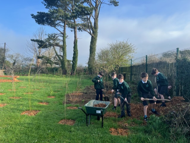 Help us Grow, at Nansloe! - a Community crowdfunding project in Helston ...