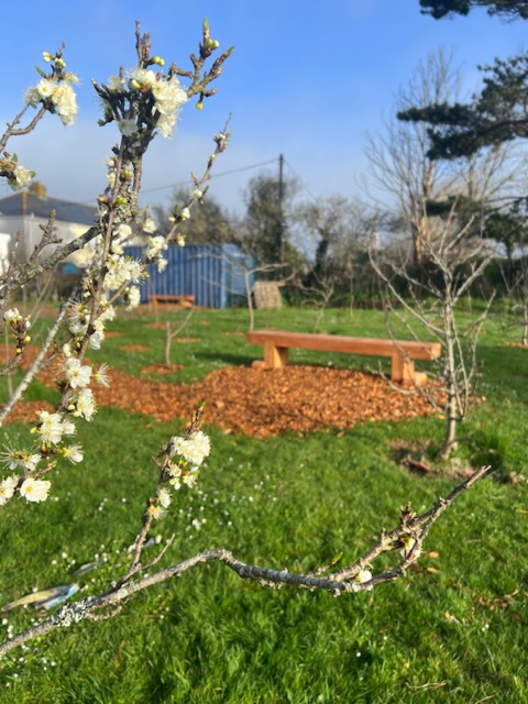 Help us Grow, at Nansloe! - a Community crowdfunding project in Helston ...