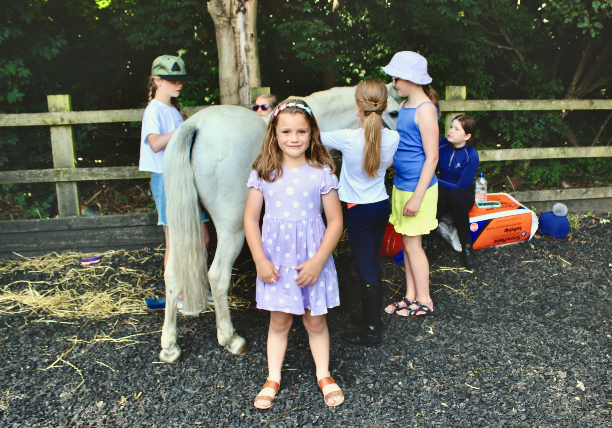 SOS - Save Our Stables - a Environment crowdfunding project in ...