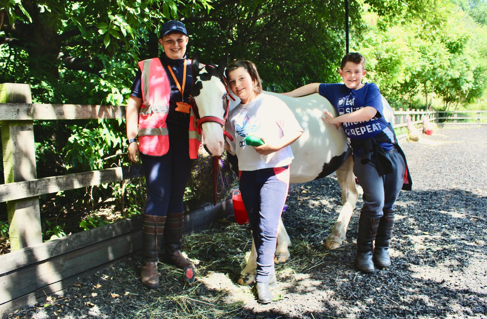 SOS - Save Our Stables - a Environment crowdfunding project in ...