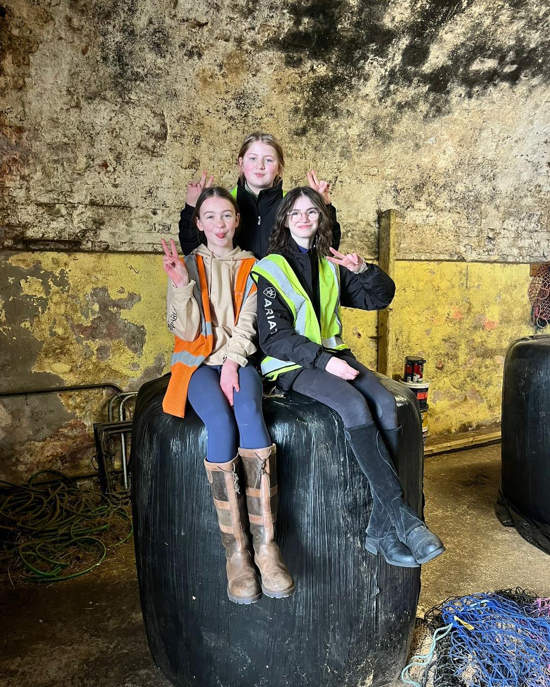 SOS - Save Our Stables - a Environment crowdfunding project in ...