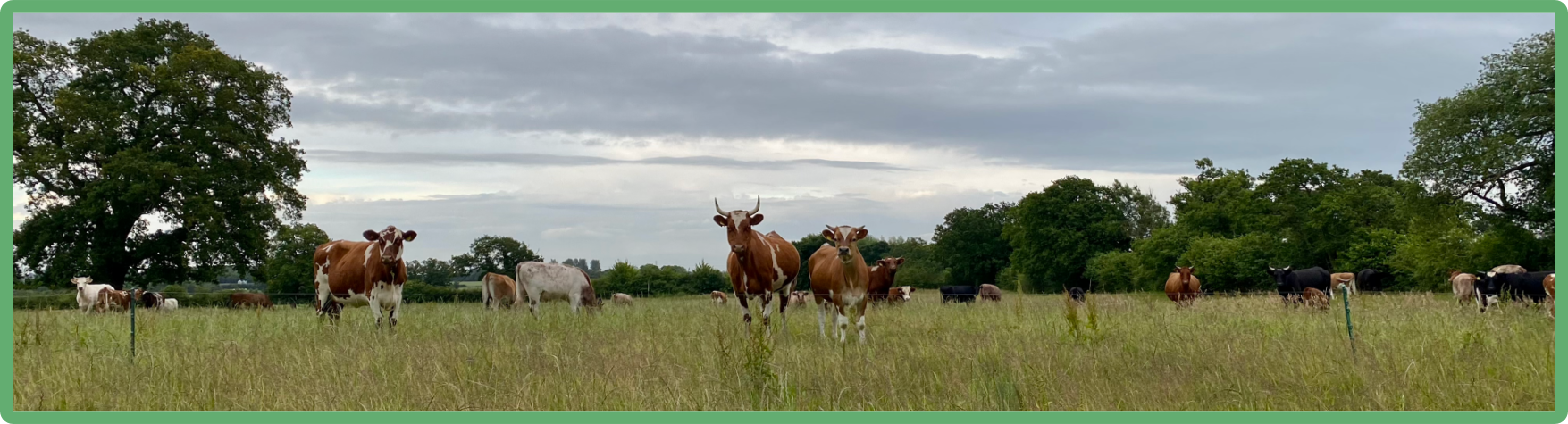 Save Babbinswood Farm - a Community crowdfunding project in Oswestry by ...