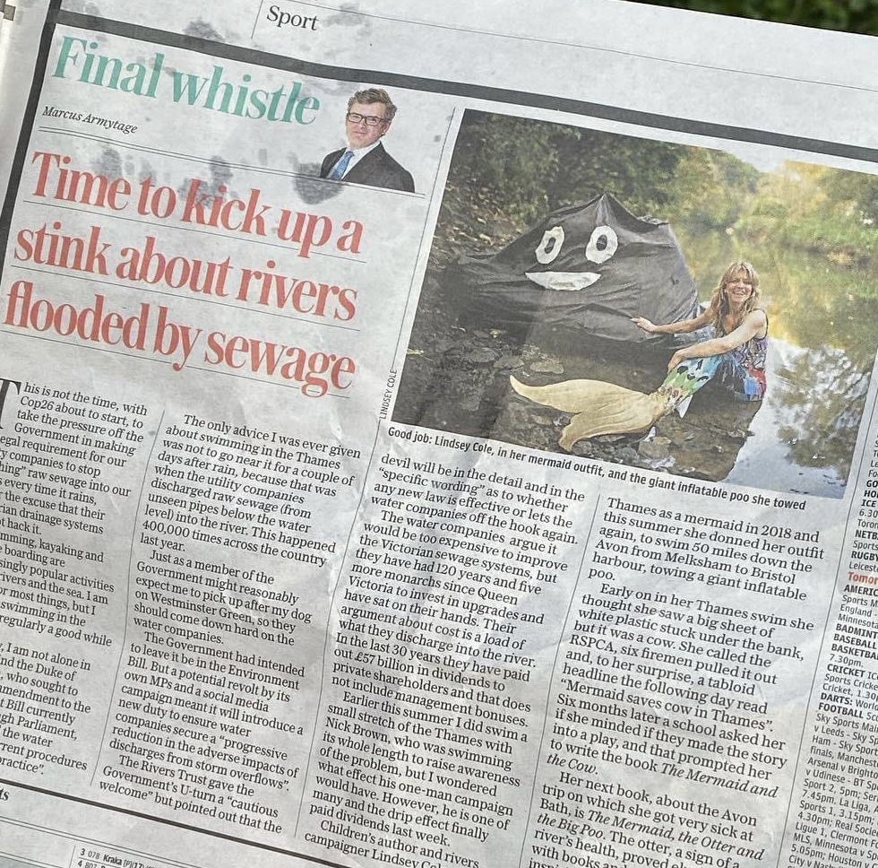 The Mermaid, the Otter and the Big Poo kids book - a Community ...