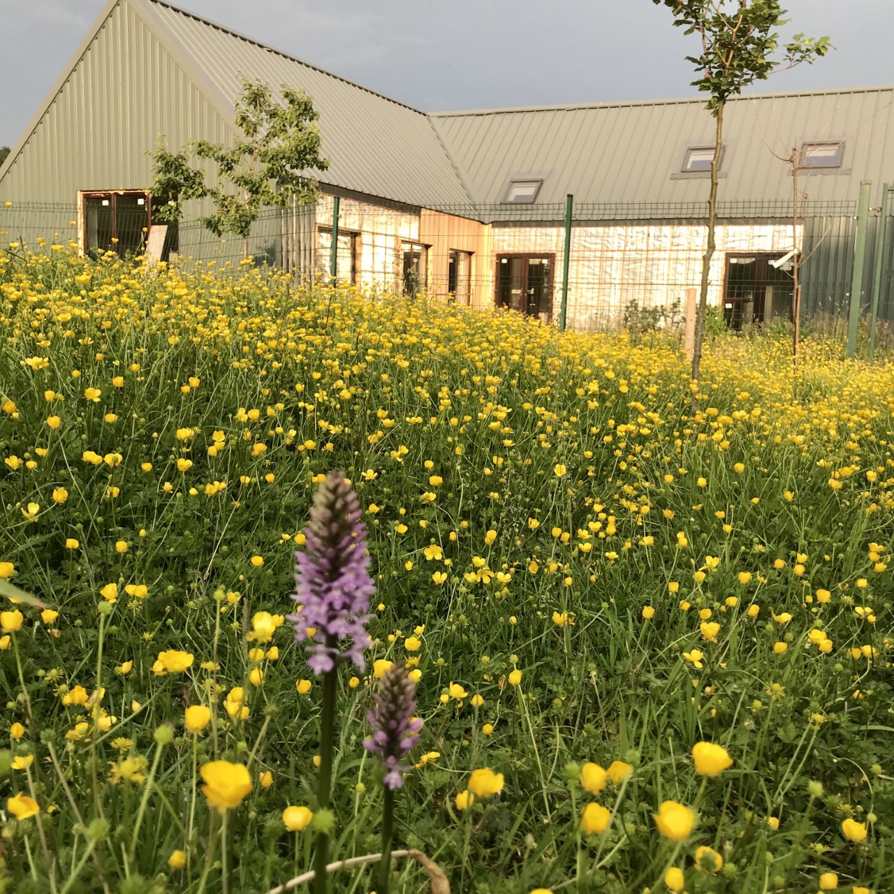 Completing the Visitor Centre for Bird Gardens. - a Food and Drink ...