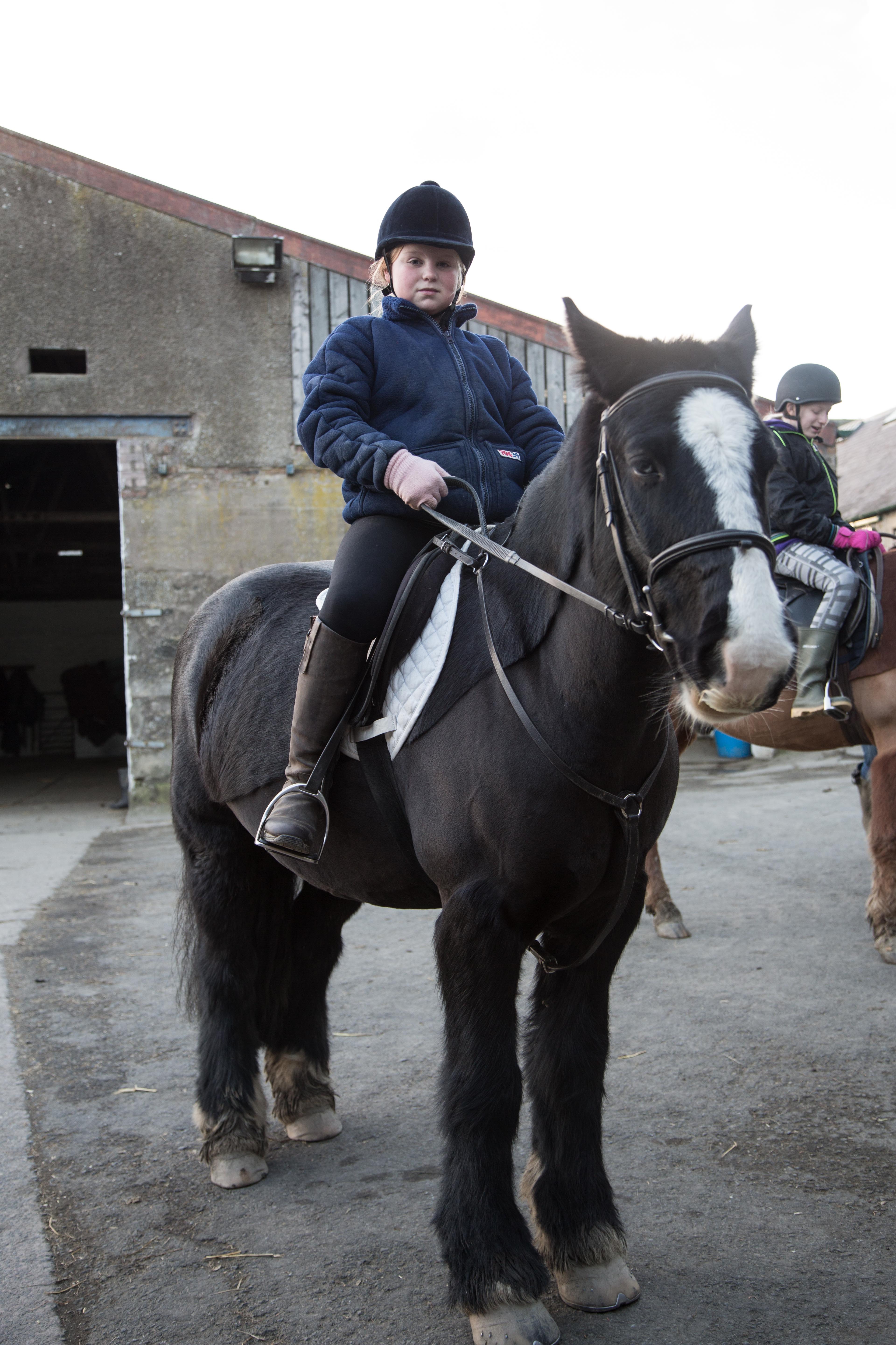 Help Save Stable Life - a Health & fitness crowdfunding project in ...