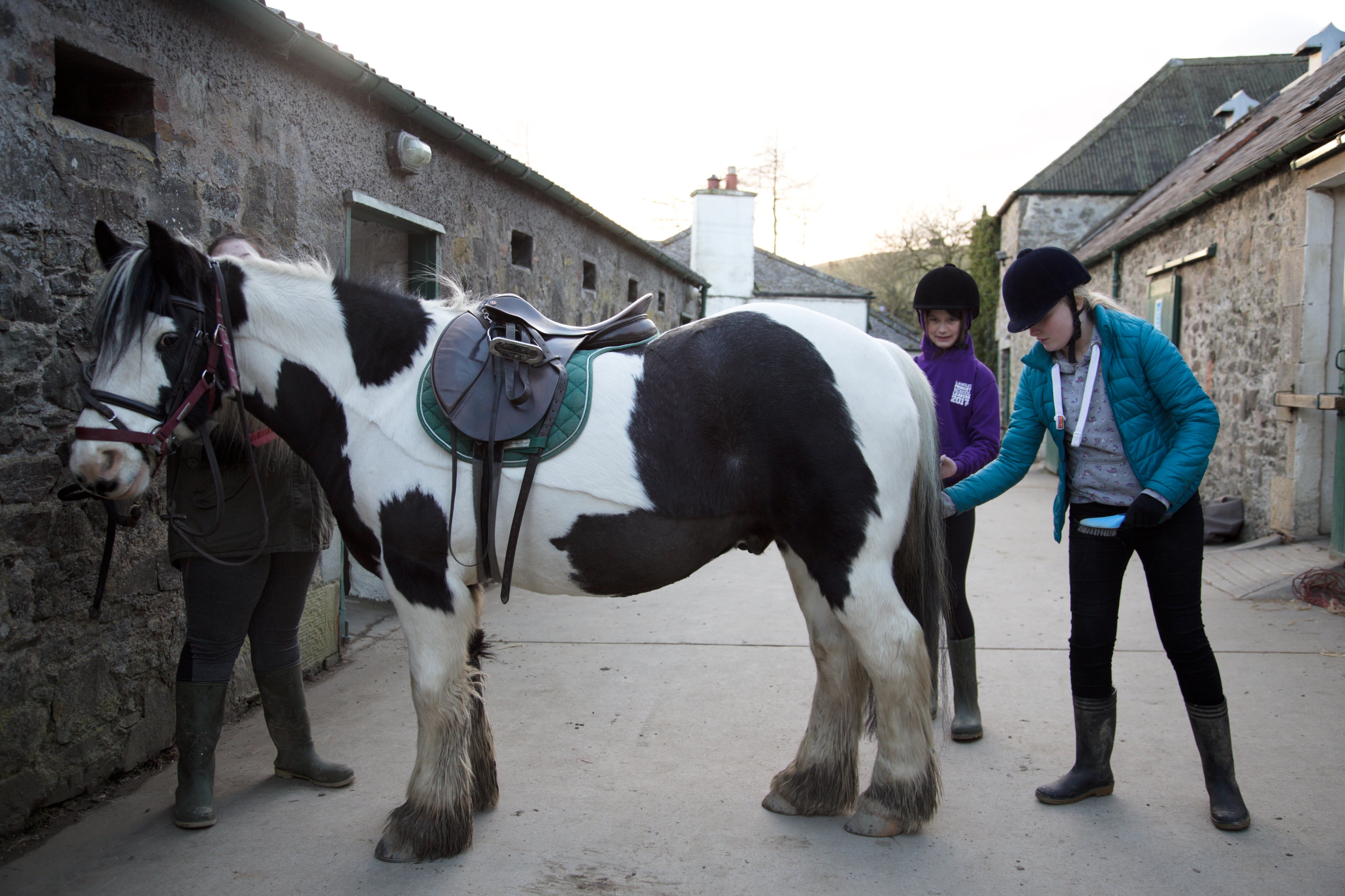 Help Save Stable Life - a Health & fitness crowdfunding project in ...