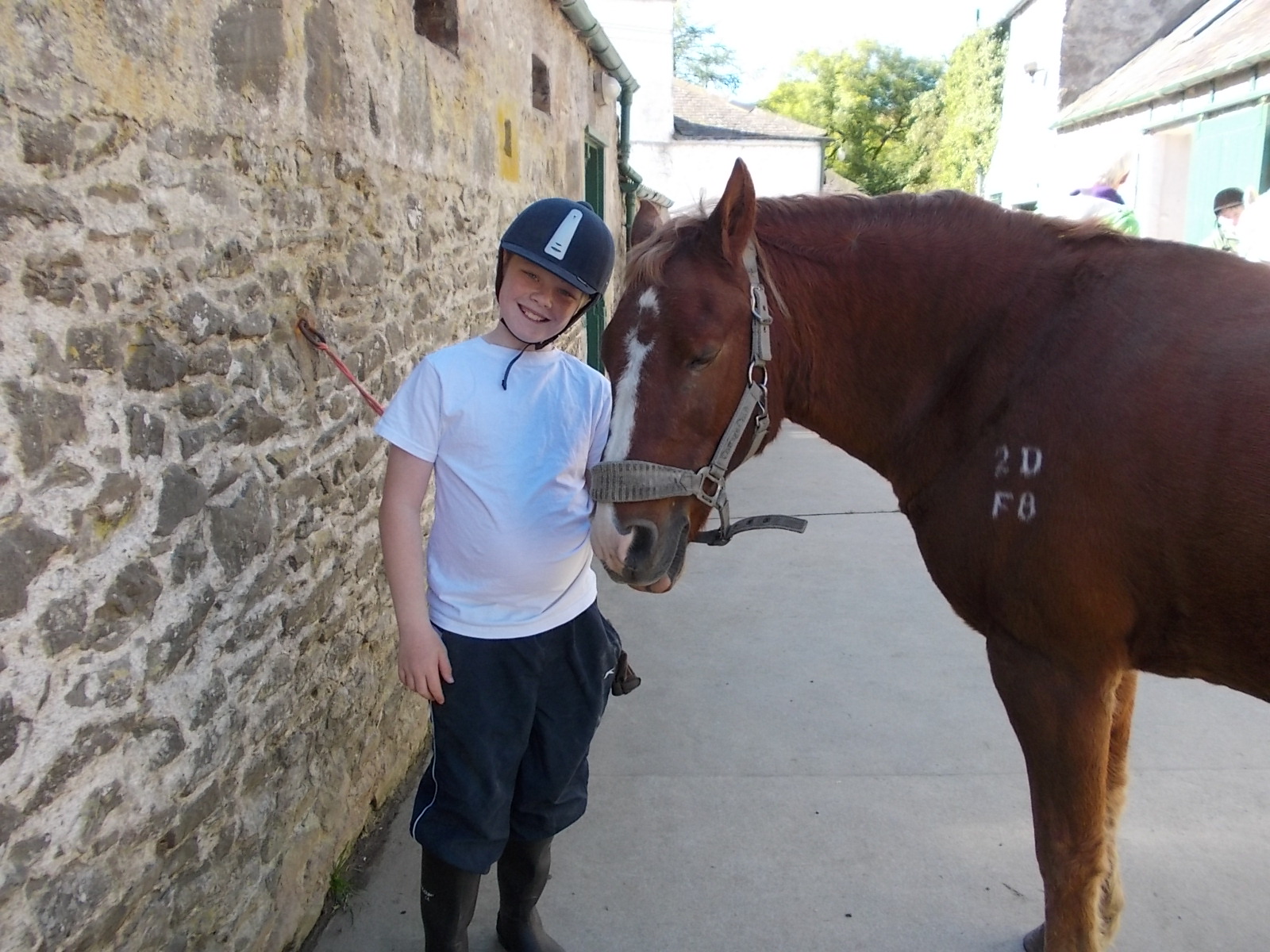 Stable Life - Save Our School! - a Charities crowdfunding project in ...