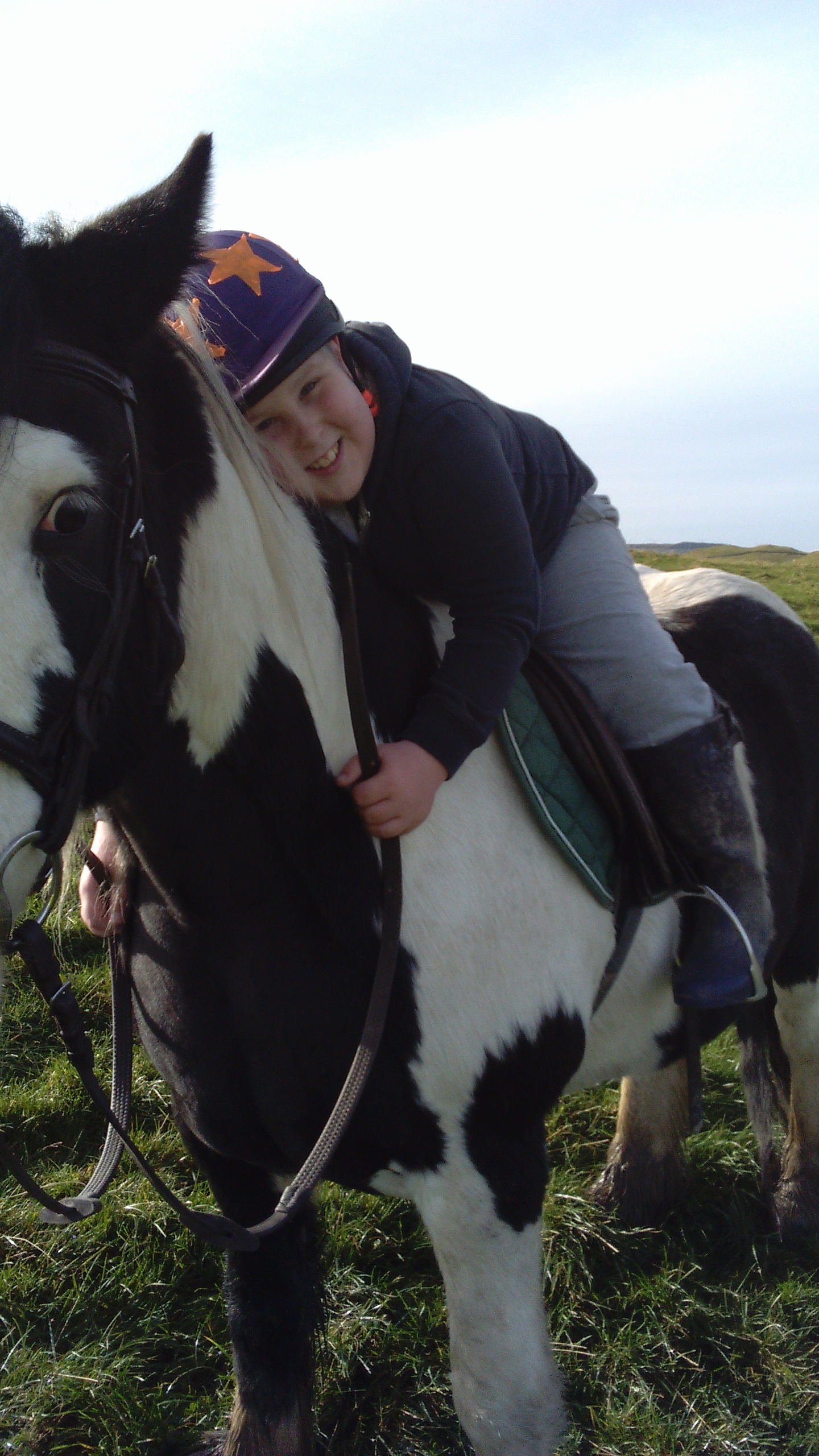 Help Save Stable Life - a Health & fitness crowdfunding project in ...