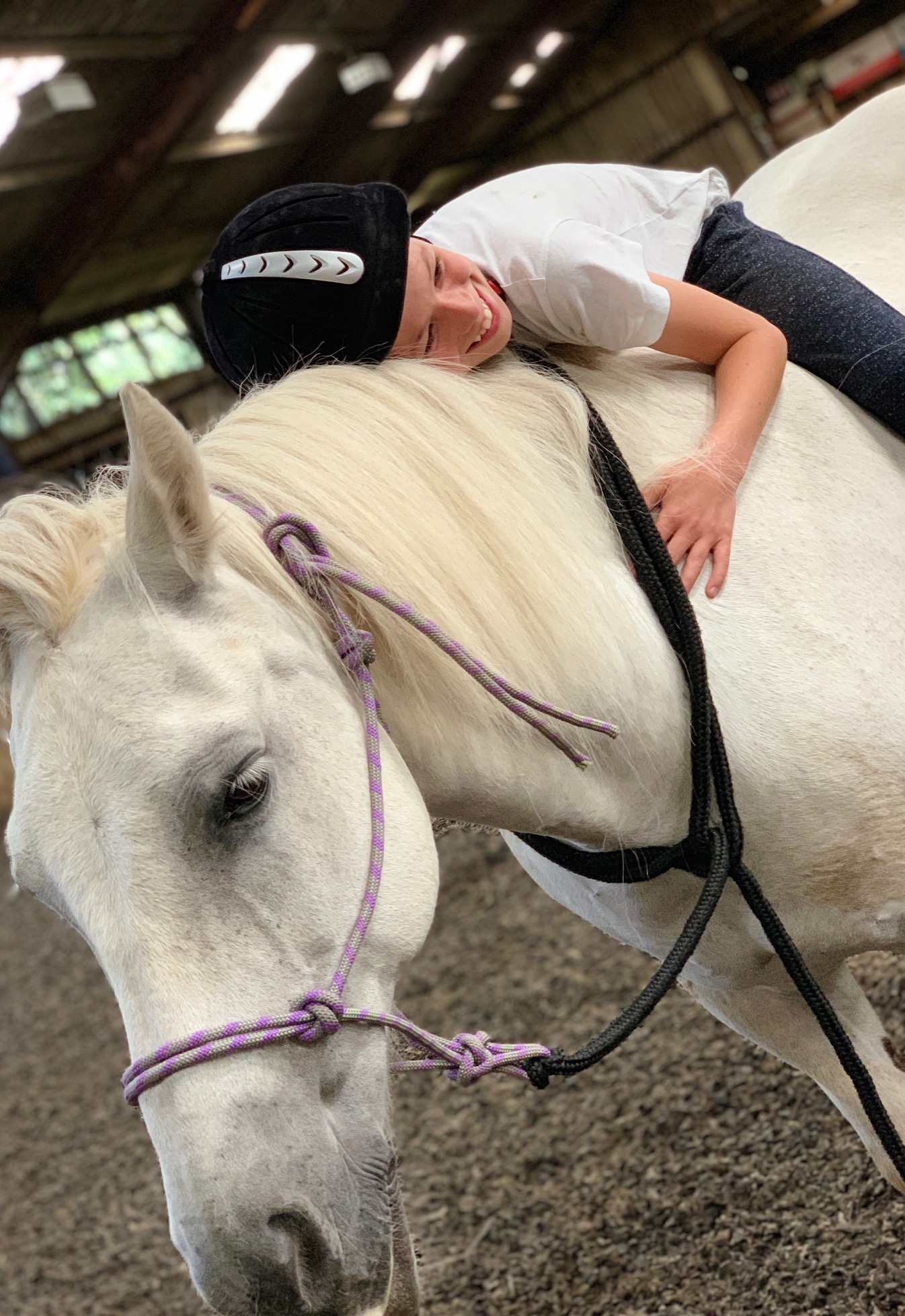 Stable Life - Save Our School! - a Charities crowdfunding project in ...