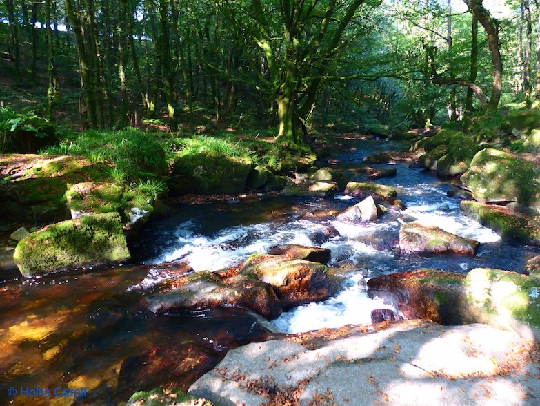 Inkies Smokehouse BBQ at Golitha Falls - a crowdfunding project in ...