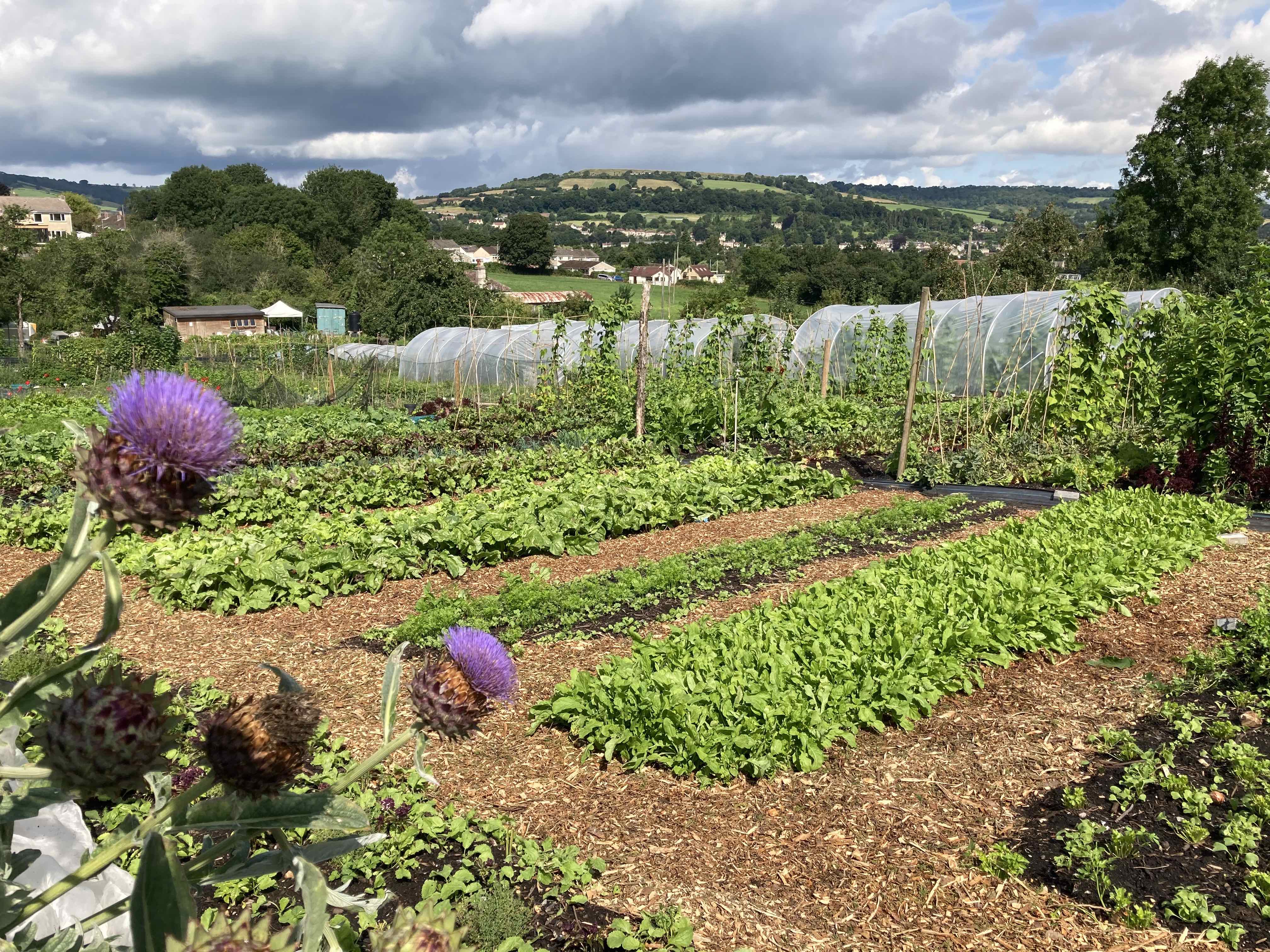 Ecological Farm for Bath - a Food and Drink crowdfunding project in ...