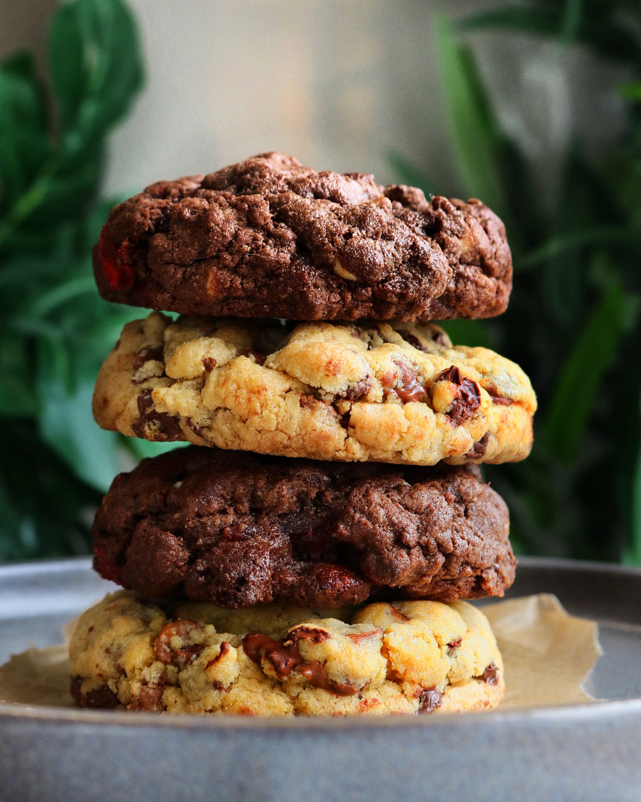 Donate to Batch Fifty Two coffee shop - a Food and Drink crowdfunding ...