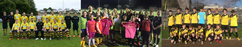 Dawlish United FC Defibrillator - a crowdfunding project in Dawlish by ...