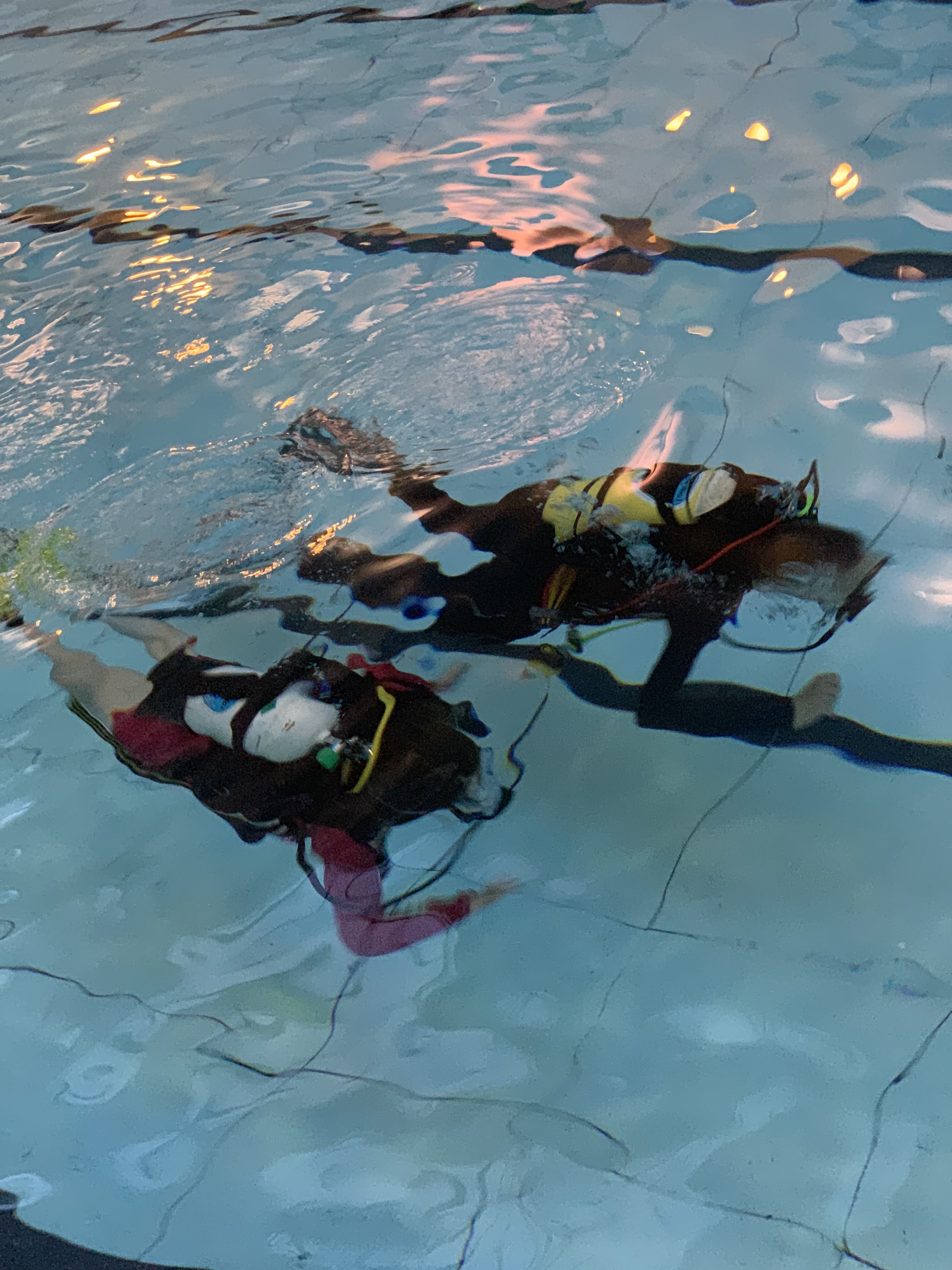 Keeping Our Club Alive - a Sports crowdfunding project in London by ...