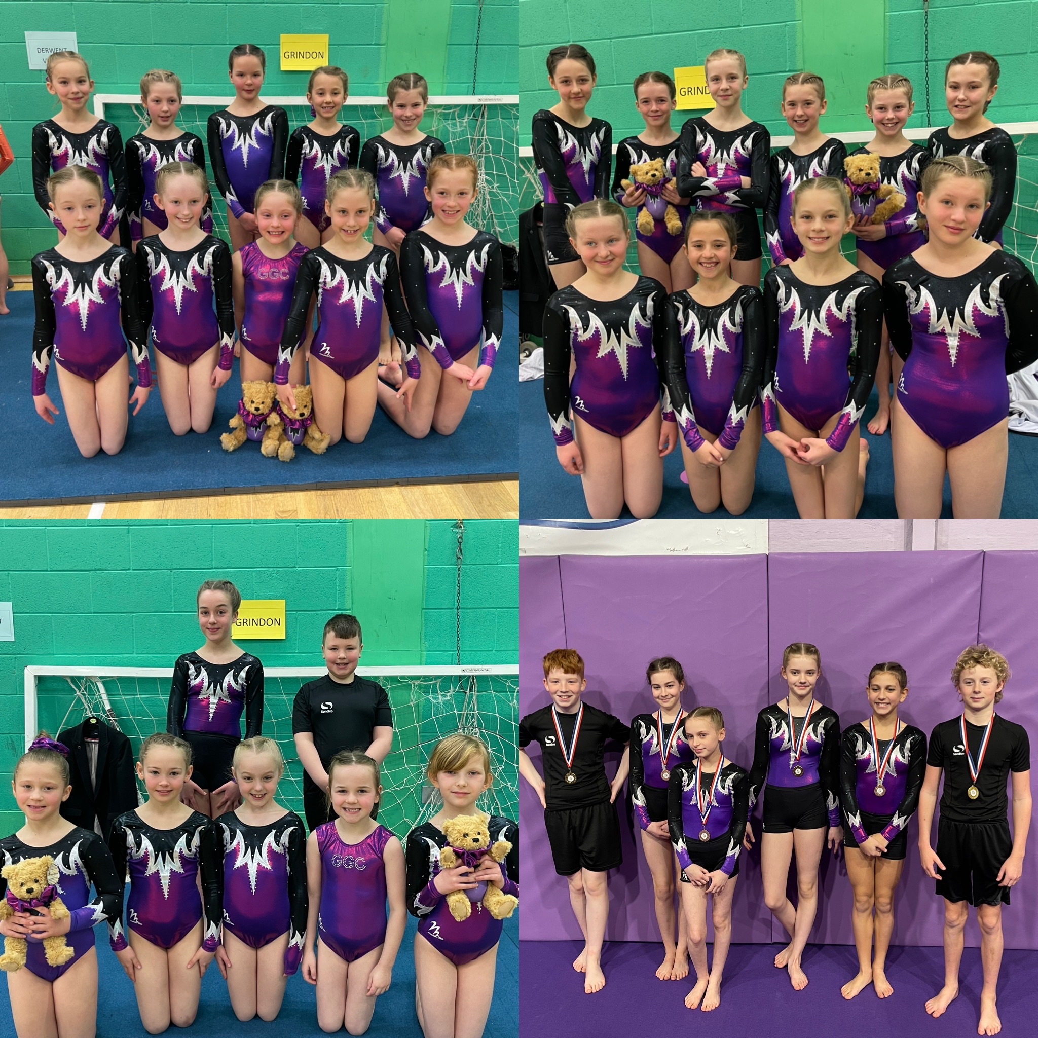 Tumblemania - Fastrack and pit upgrade - a Community crowdfunding ...