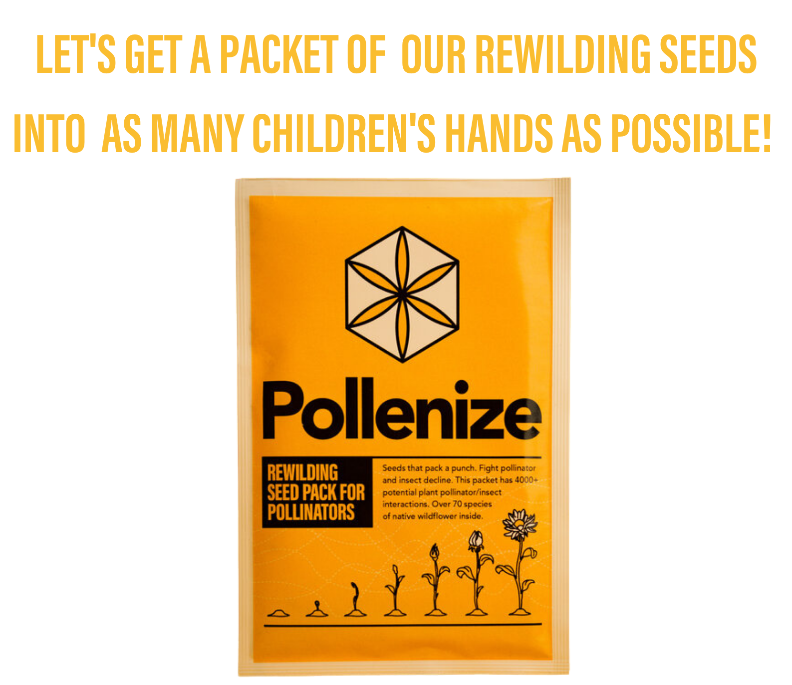 Project Pollenize | Rewilding Seeds for Schools - a Environment ...